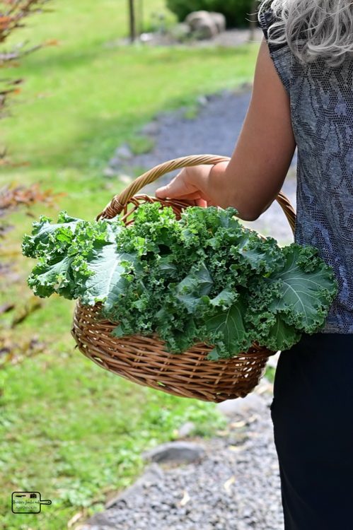 Salată de Kale » Bucătăria familiei mele